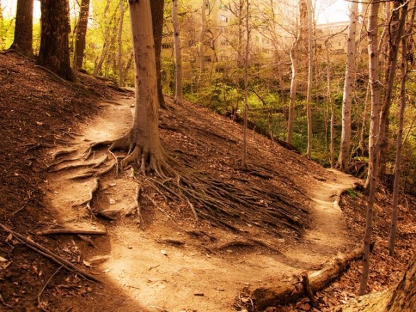 Two Paths of Life - Prema Dharma